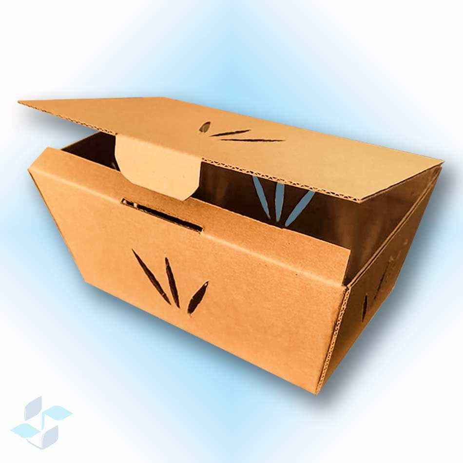 CLAMSHELL DE CARTÓN 18 OZ.