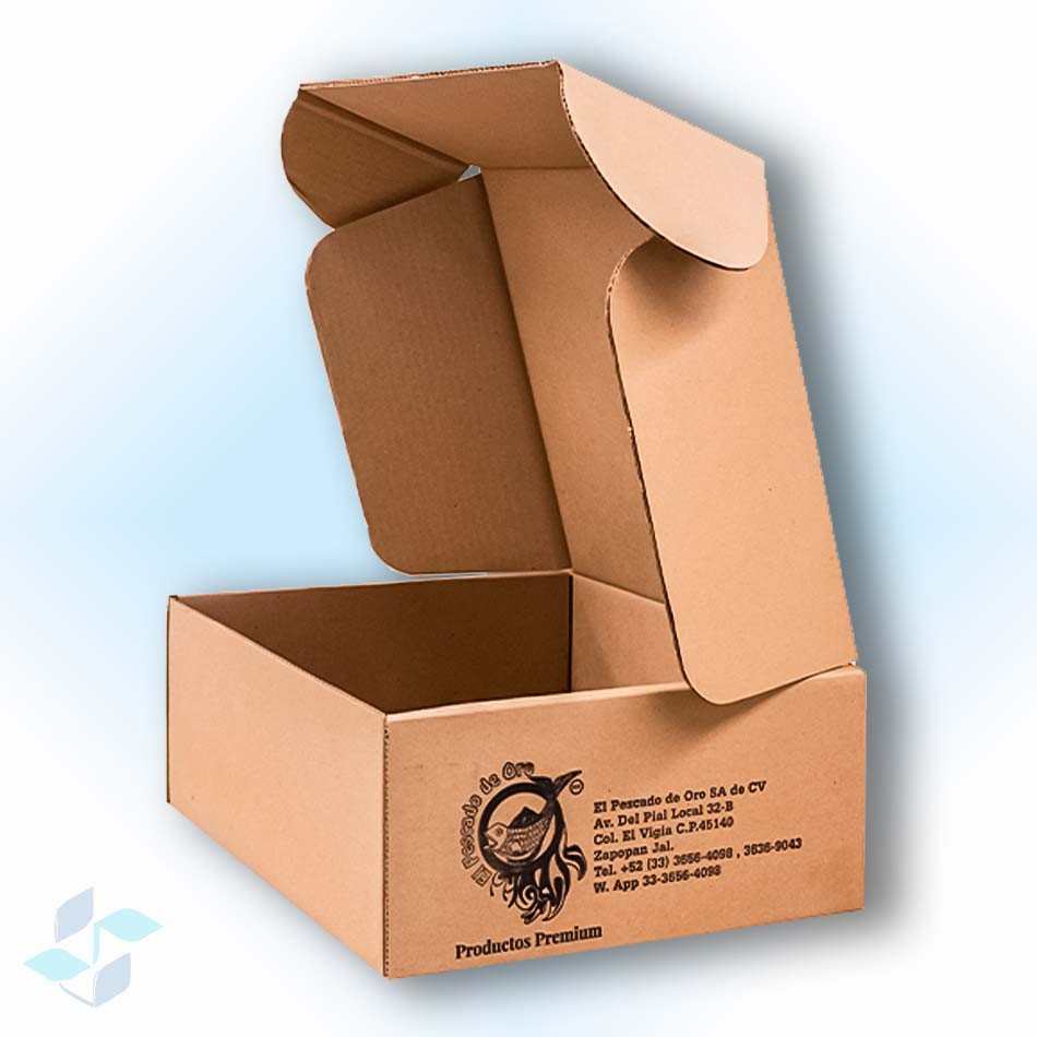 CAJA CON TAPA TIPO CANDADO
